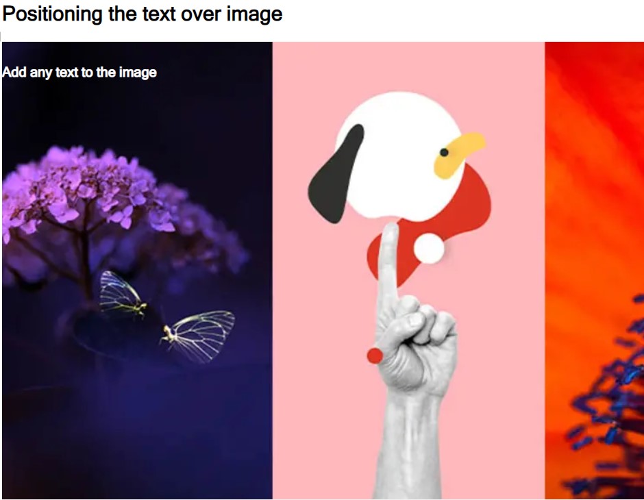Positionner le texte sur une image avec CSS | Delft Stack
