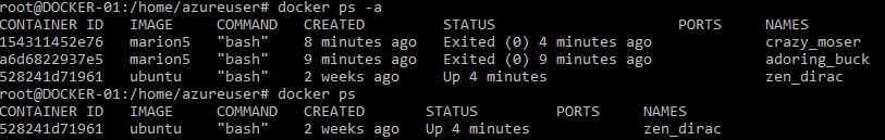 Check if the Docker Container Is Running or Not | Delft Stack