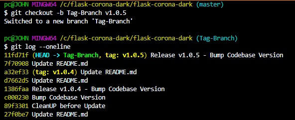 Create a Branch From a Tag in Git | Delft Stack