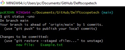 Rename Files and Directories in a Git Repository | Delft Stack