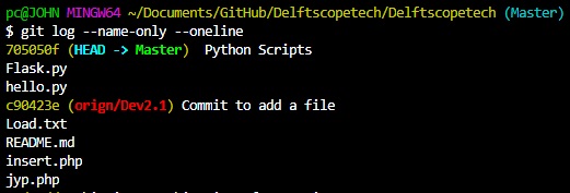 Display Filenames Changed in All Commits | Delft Stack