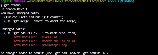 Show Conflicted Files in Git | Delft Stack