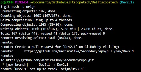 Create a Remote Repository From a Local Repository in Git | Delft Stack