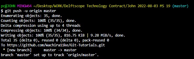 Make a Folder a Git Repo and Push to Remote | Delft Stack