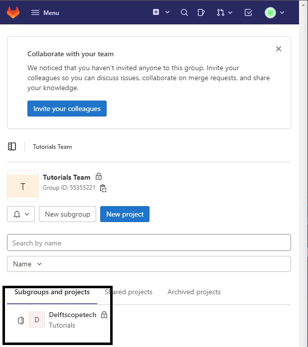 Create Groups and Move Projects in GitLab | Delft Stack