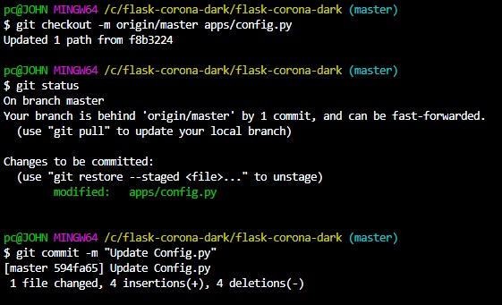 Pull and Update One File in Git | Delft Stack