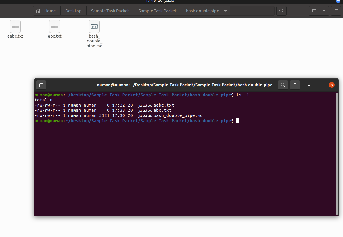Bash Double Pipe | Delft Stack