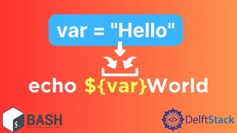 Variable Interpolation In Bash Script Delft Stack