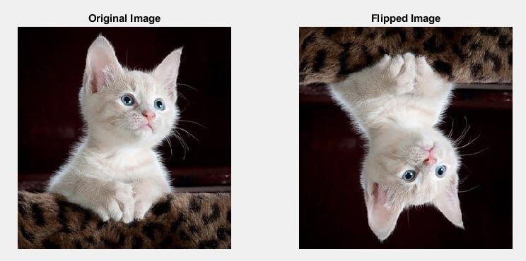 Flip Image in MATLAB | Delft Stack