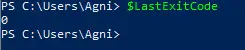 PowerShell 中的 LastExitCode | D栈 - Delft Stack