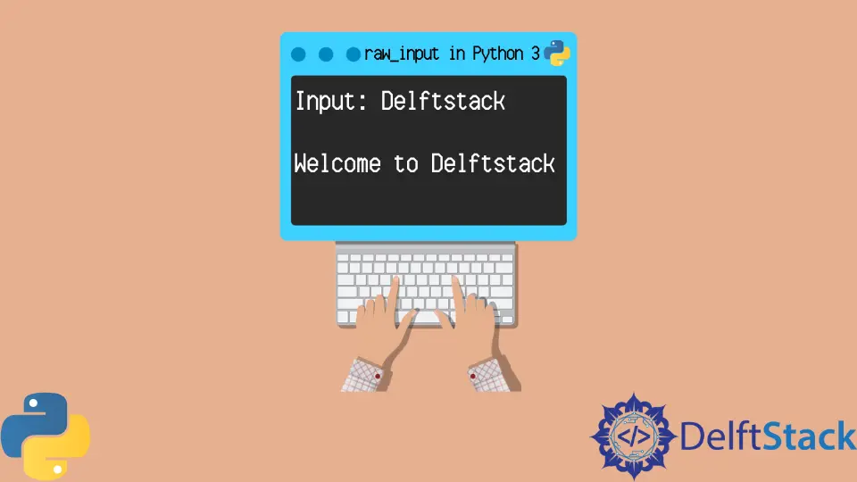 Python 3 Raw input Delft 