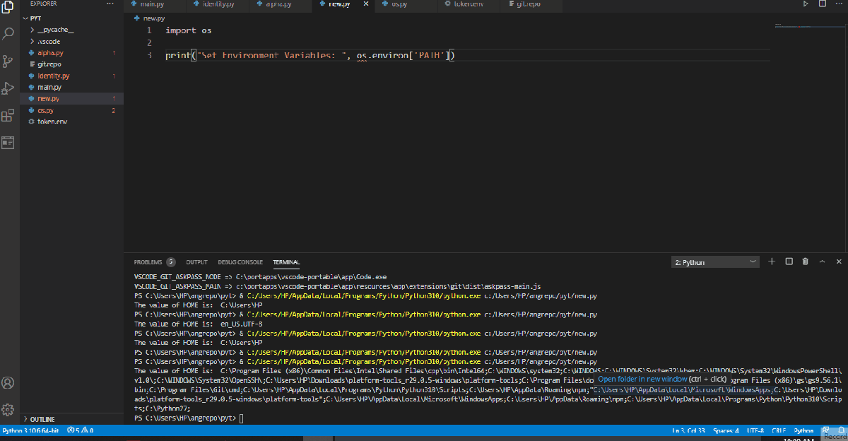 Establecer variable de entorno en Python Script | Delft Stack